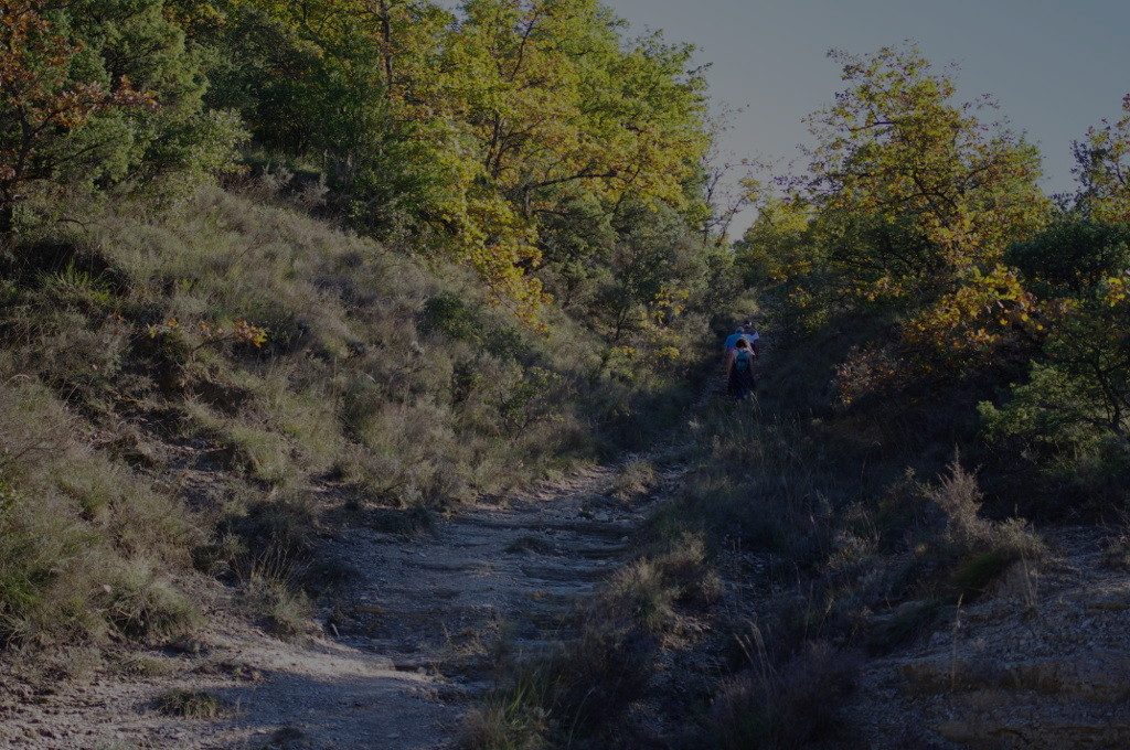 expériences - Les Carriers - Maison d'hôtes